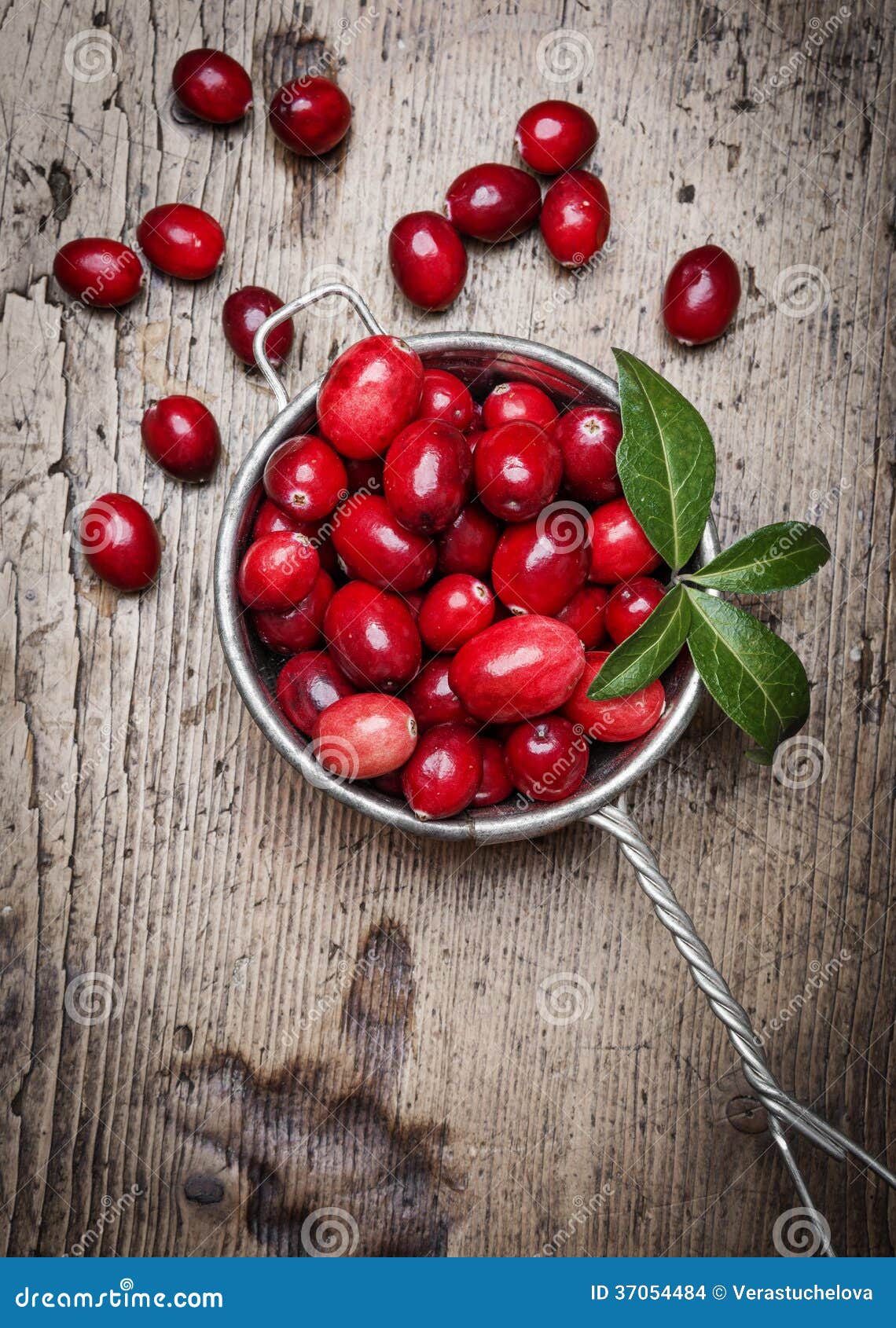 Cranberries on a Kitchen Table Stock Photo - Image of group, drug: 37054484