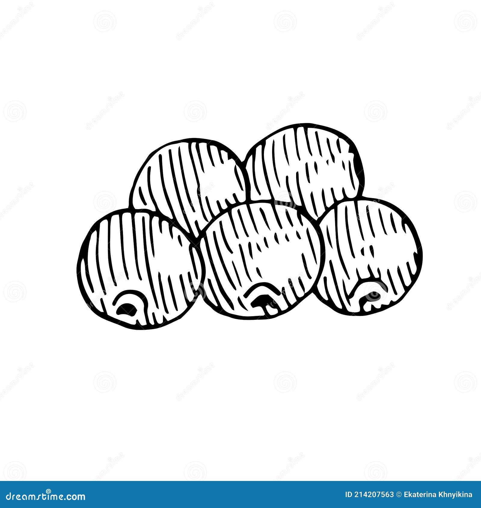 Cranberries, Vector Illustration, Hand Drawing, Sketch Stock Vector ...