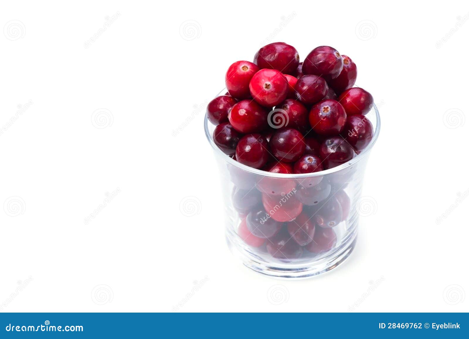Cranberry stock photo. Image of healthy, meal, plant - 28469762