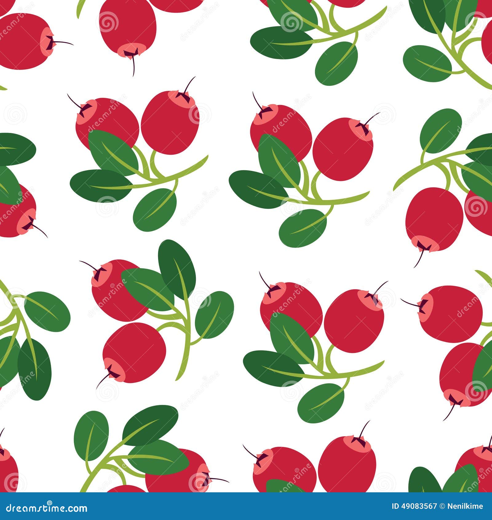 Cranberry background stock vector. Illustration of design - 49083567
