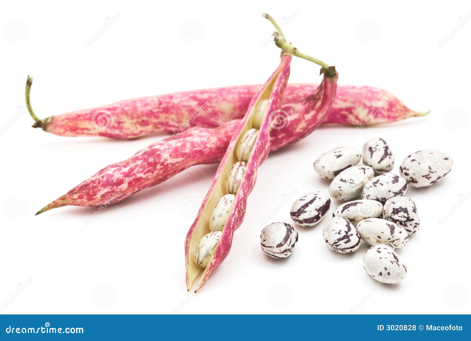 376 Coco Bean Stock Photos - Free & Royalty-Free Stock Photos from ...