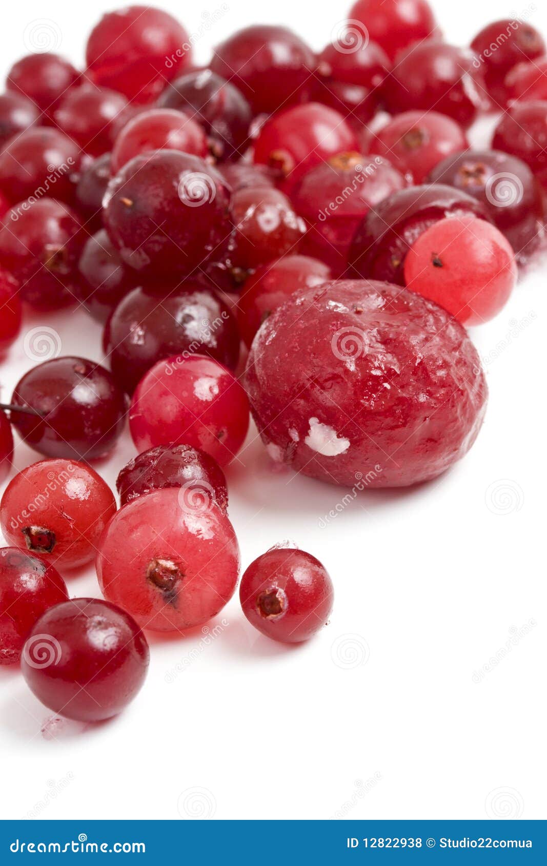 Cranberry.jpg stockfoto. Bild von leben, kühl, beeren - 12822938