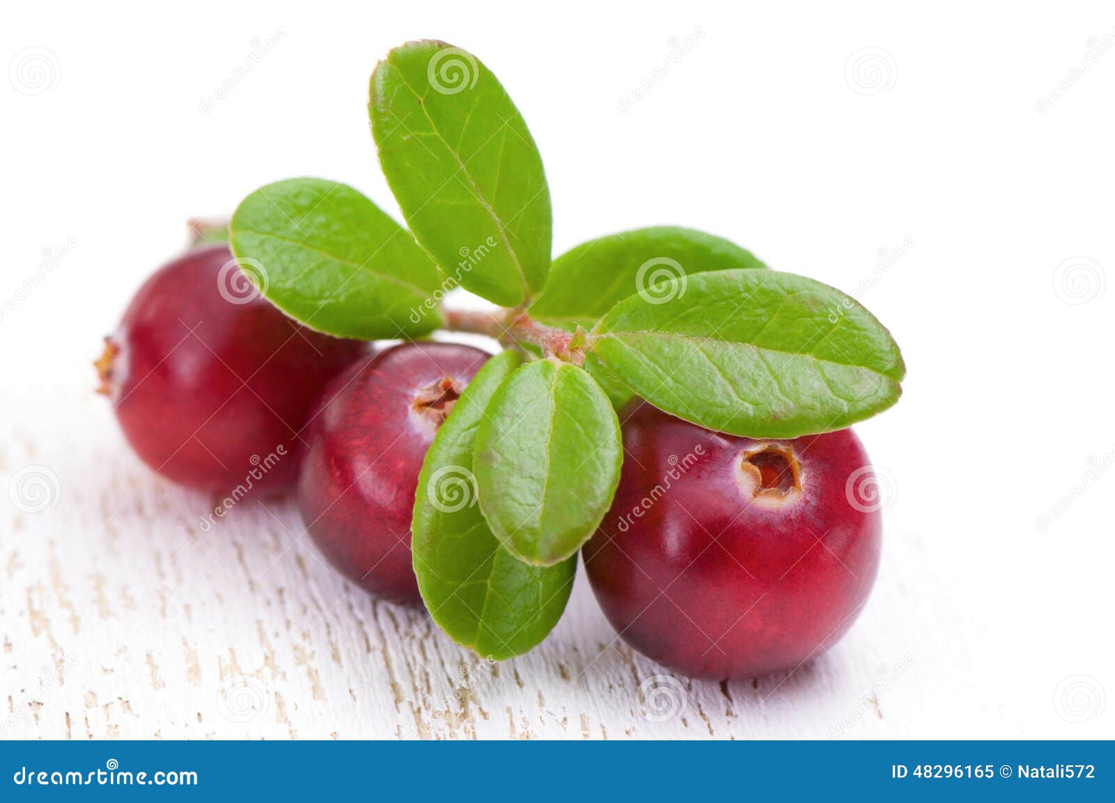 Cranberry stock image. Image of cranberry, delicious - 48296165