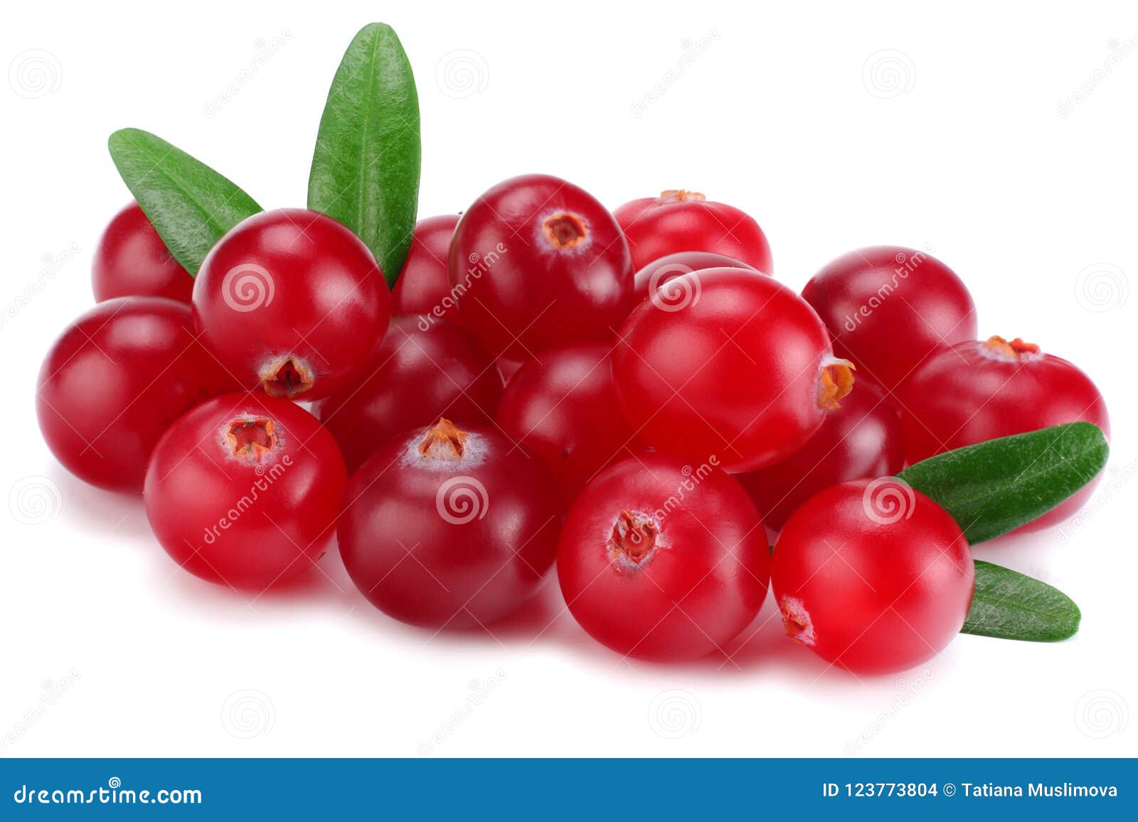 Cranberry with Leaves Isolated on White. with Clipping Path. Full Depth ...