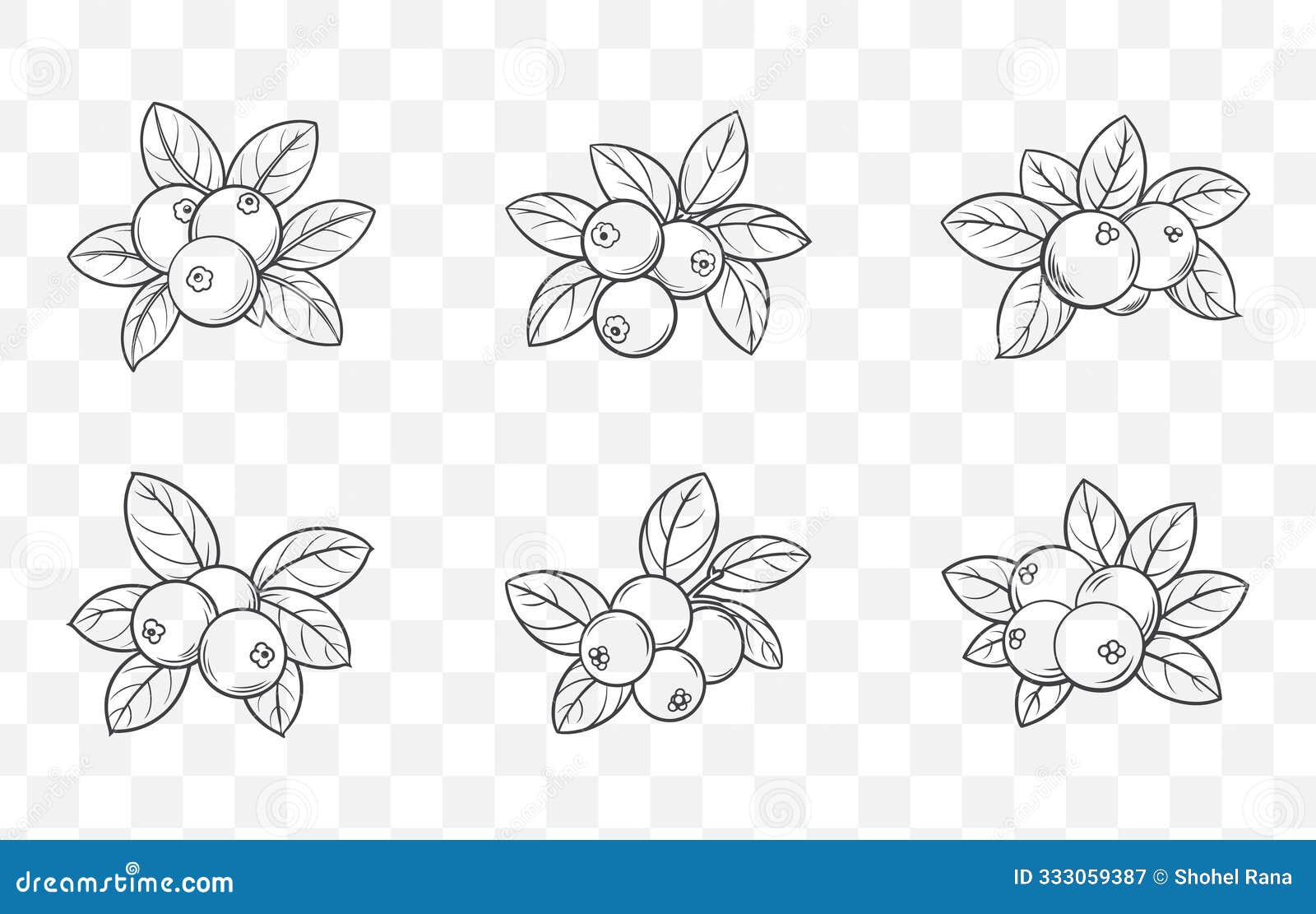 Print Cranberry Line Art Vector Set Elegant and Detailed Illustrations ...