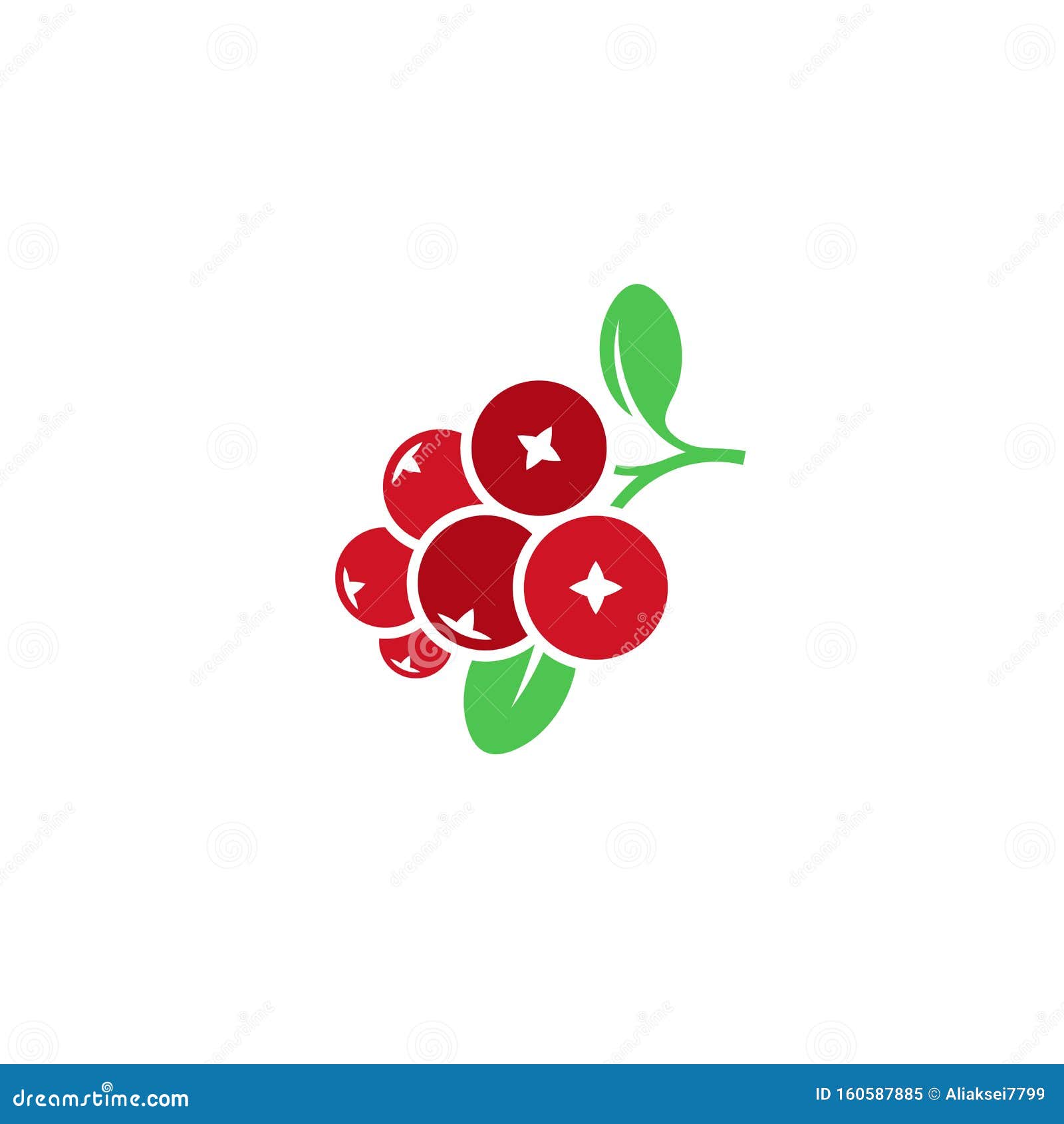 Cranberry stock vector. Illustration of autumn, leaf - 160587885