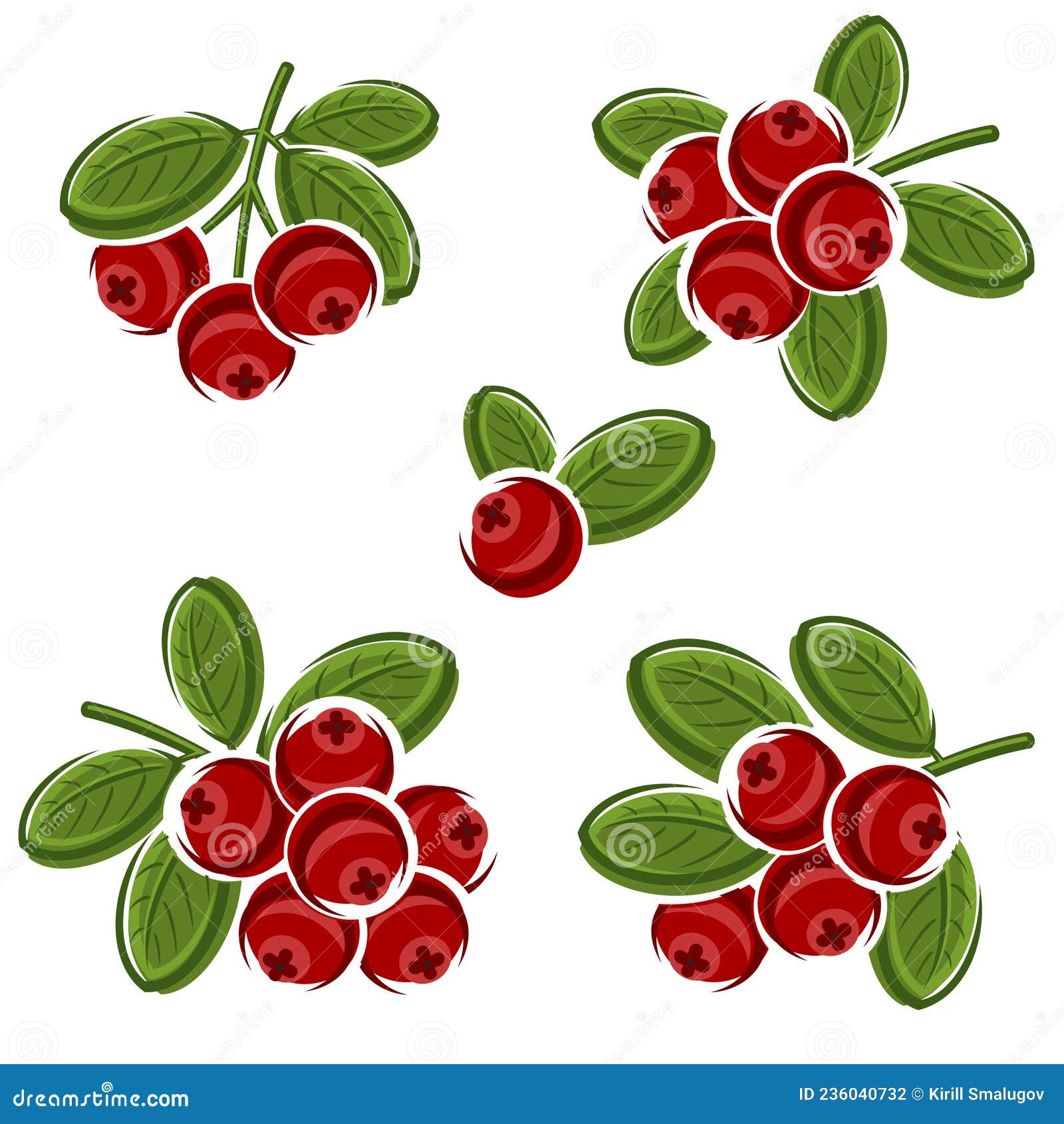 Cranberry Set. Collection Icon Cranberry Stock Vector - Illustration of ...