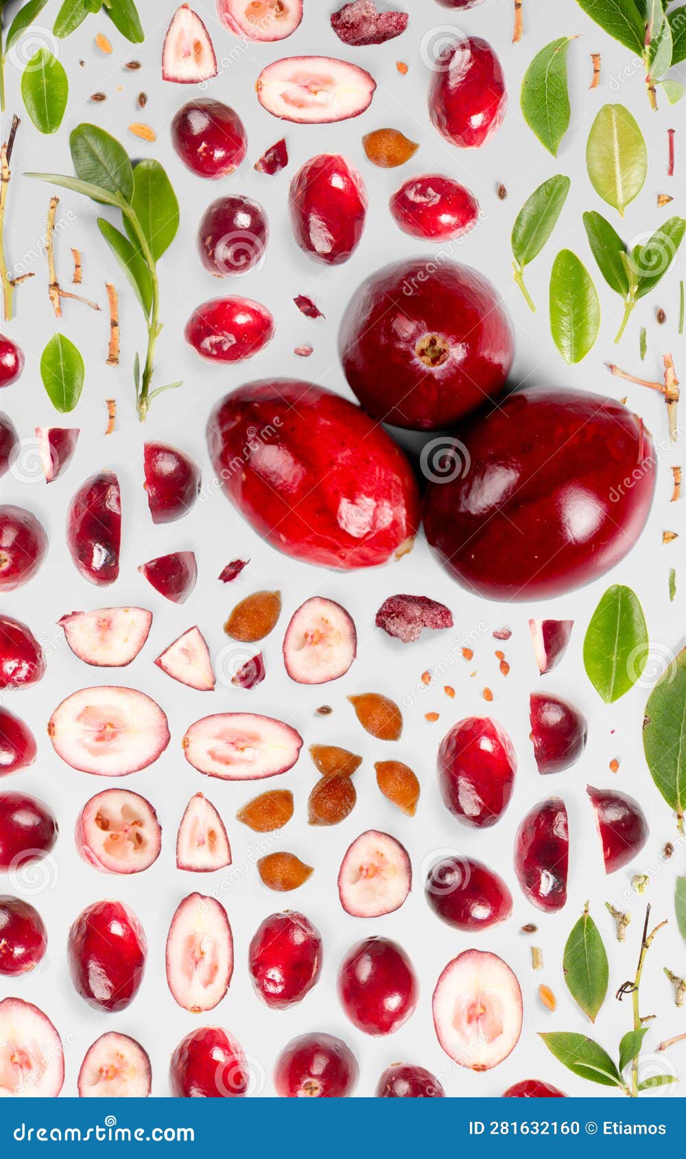 Cranberry Slice and Leaf Collection Stock Photo - Image of cranberry ...