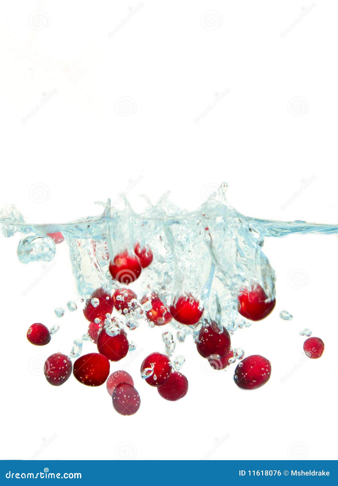 Cranberry Splash stock photo. Image of berry, surface - 11618076