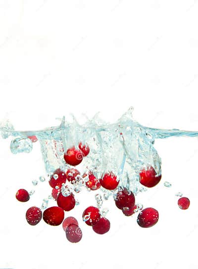 Cranberry Splash stock photo. Image of berry, surface - 11618076