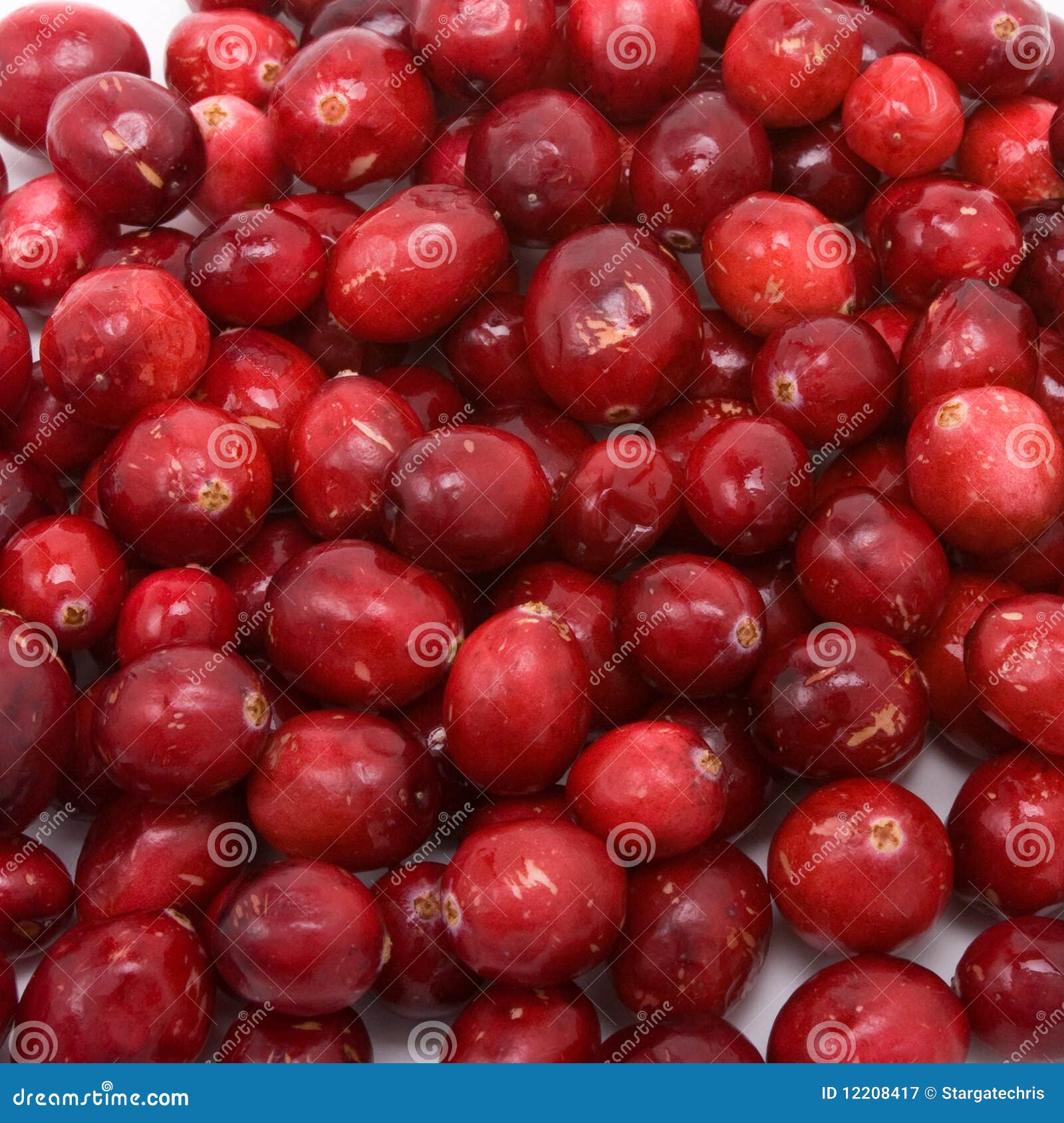 Cranberry Texture stock image. Image of cranberries, thanksgiving ...