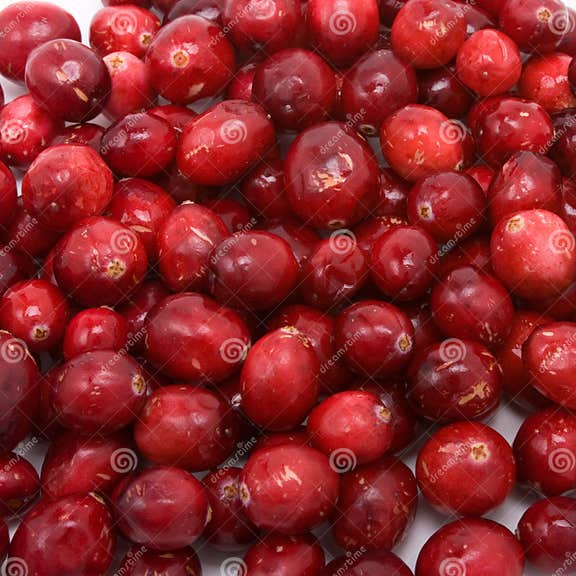 Cranberry Texture stock image. Image of cranberries, thanksgiving ...