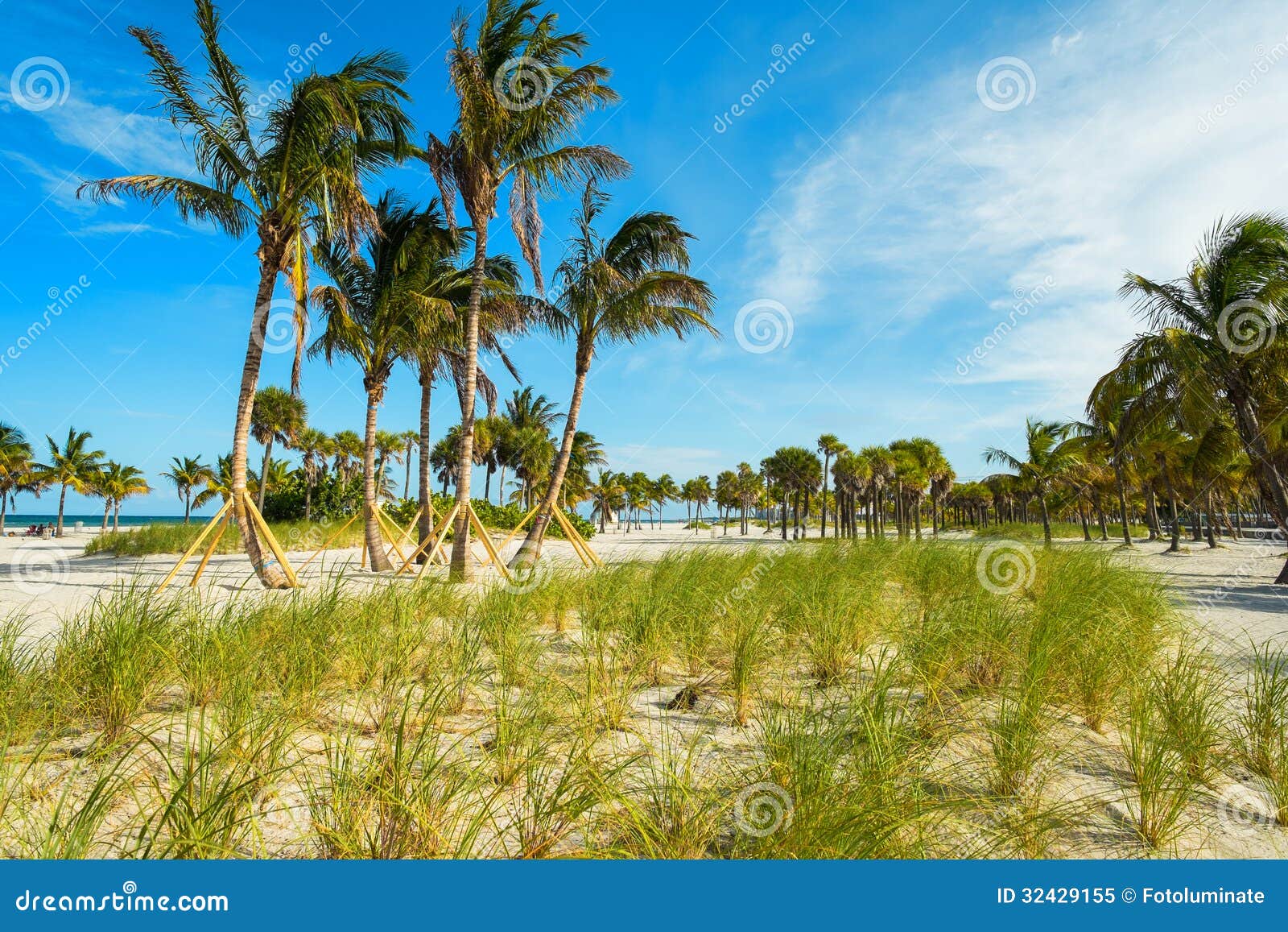 Crandon Park Beach stock image. Image of coastline, park - 32429155