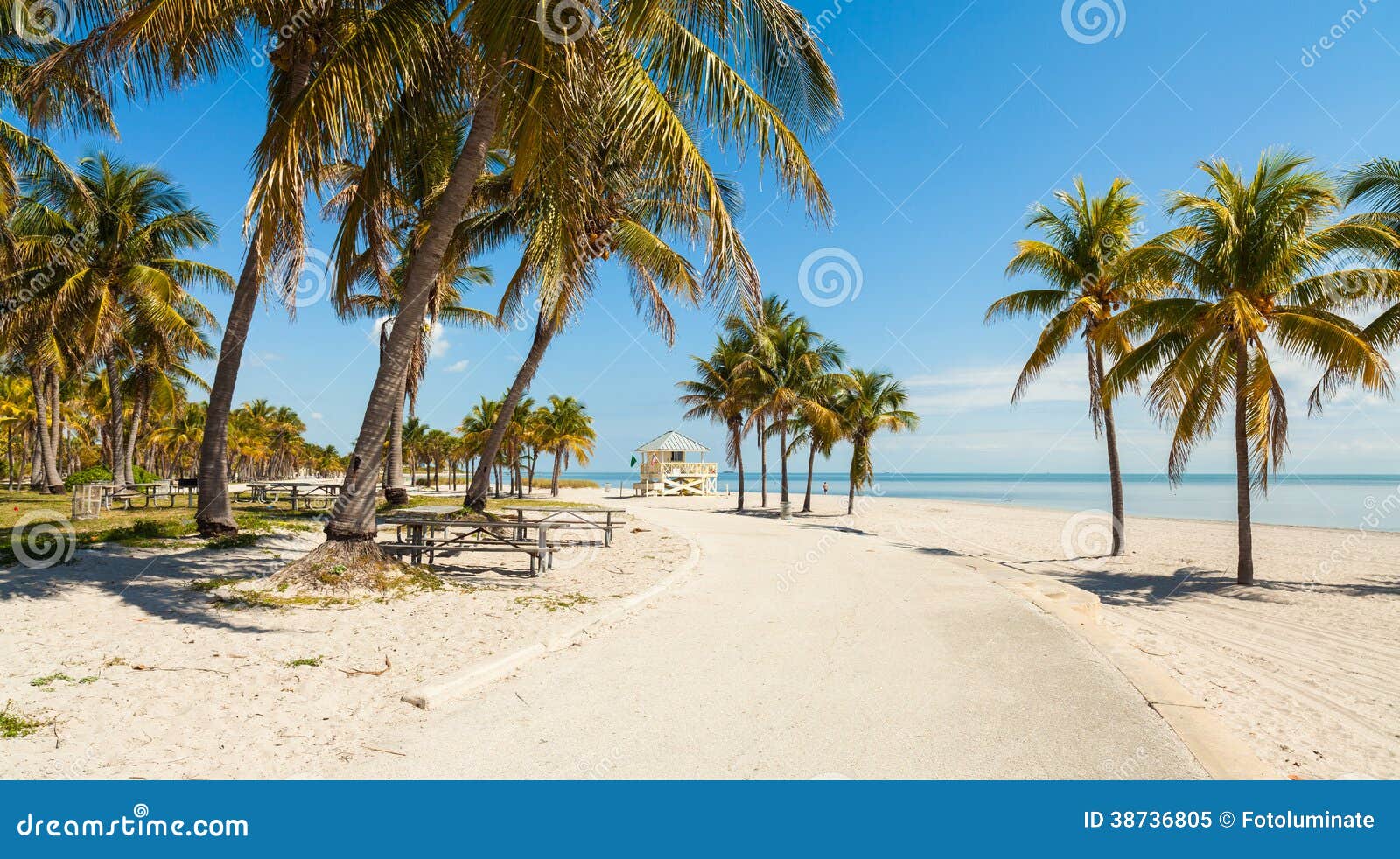 Crandon Park Beach stock image. Image of promenade, attraction - 38736805