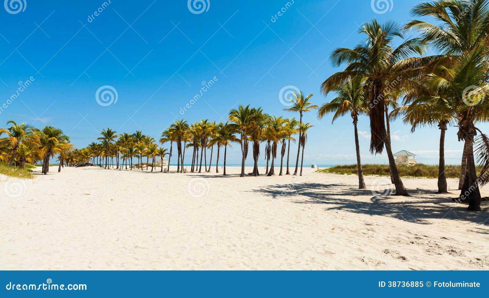 Crandon Park Beach stock image. Image of rest, crandon - 38736885