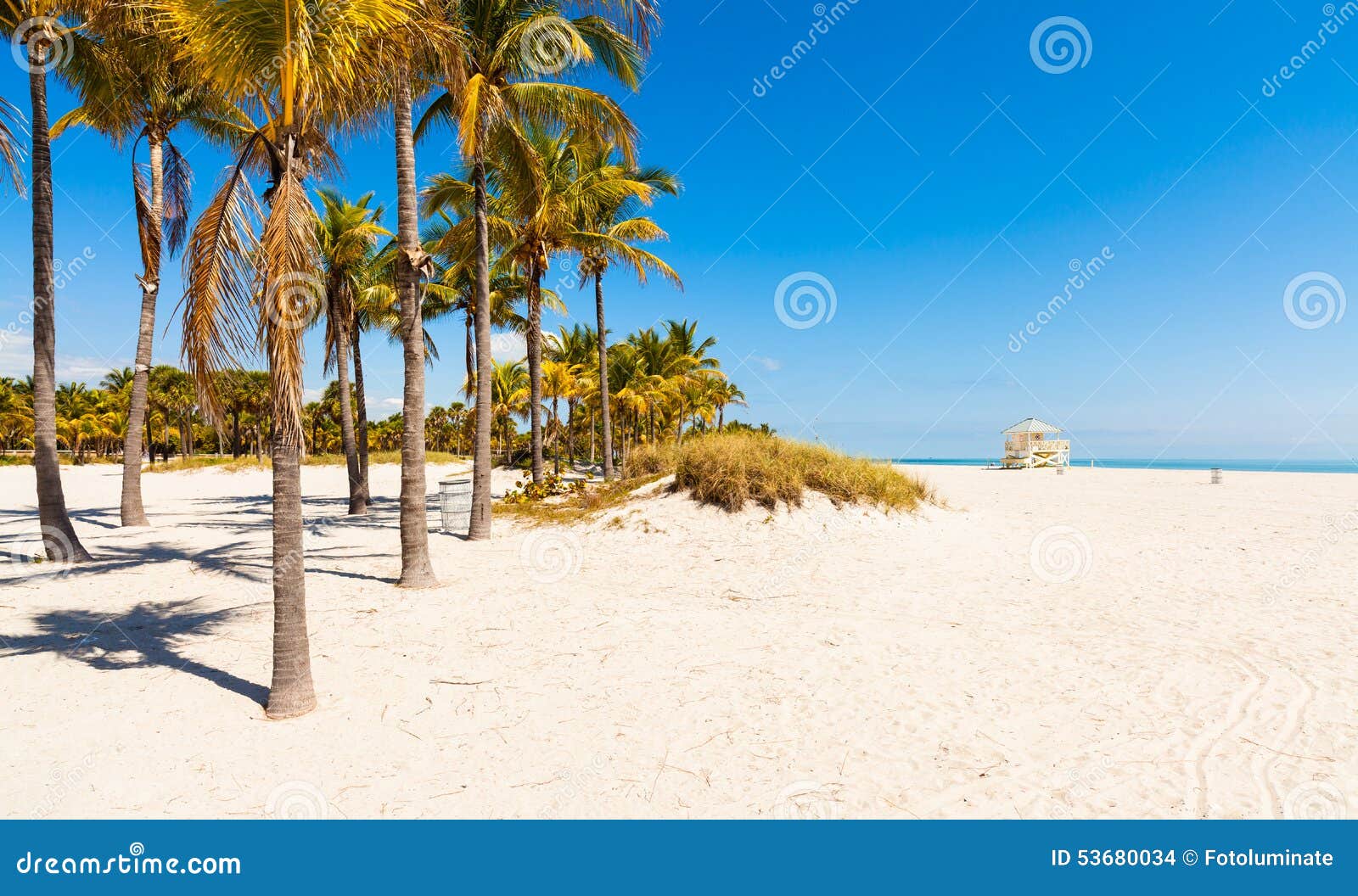 Crandon Park Beach stock photo. Image of lifestyle, seascape - 53680034