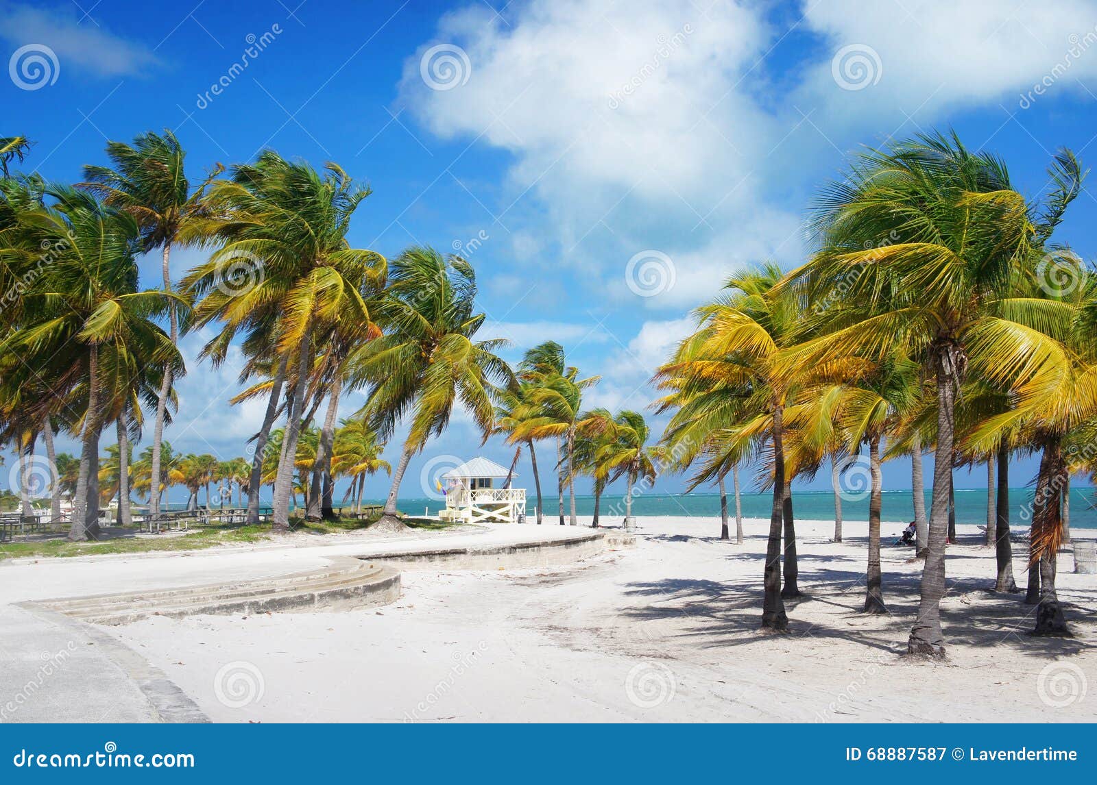 Crandon Park Beach of Key Biscayne, Miami Stock Image - Image of ...