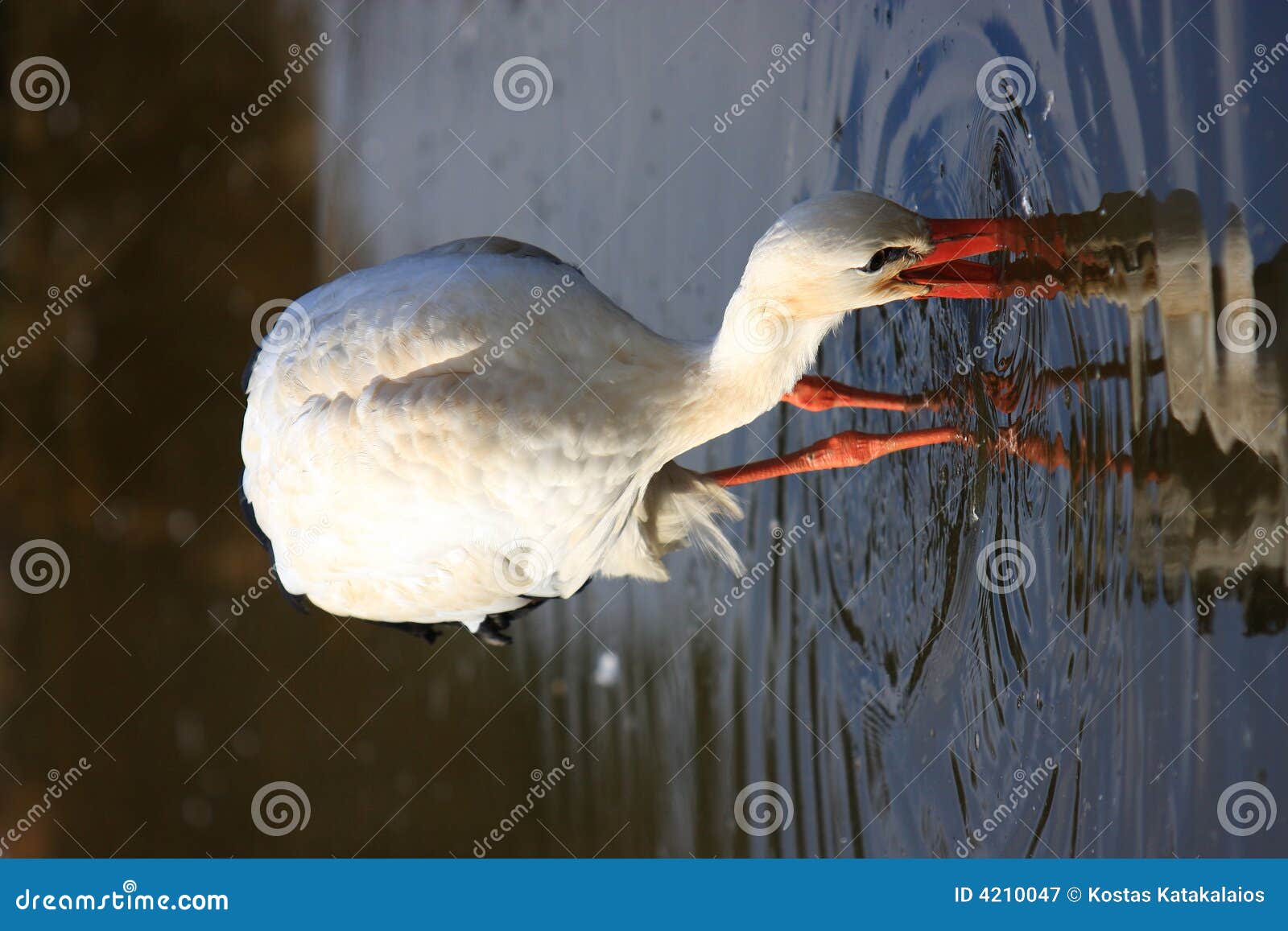 Crane On Fishing Boat Royalty-Free Stock Image | CartoonDealer.com ...