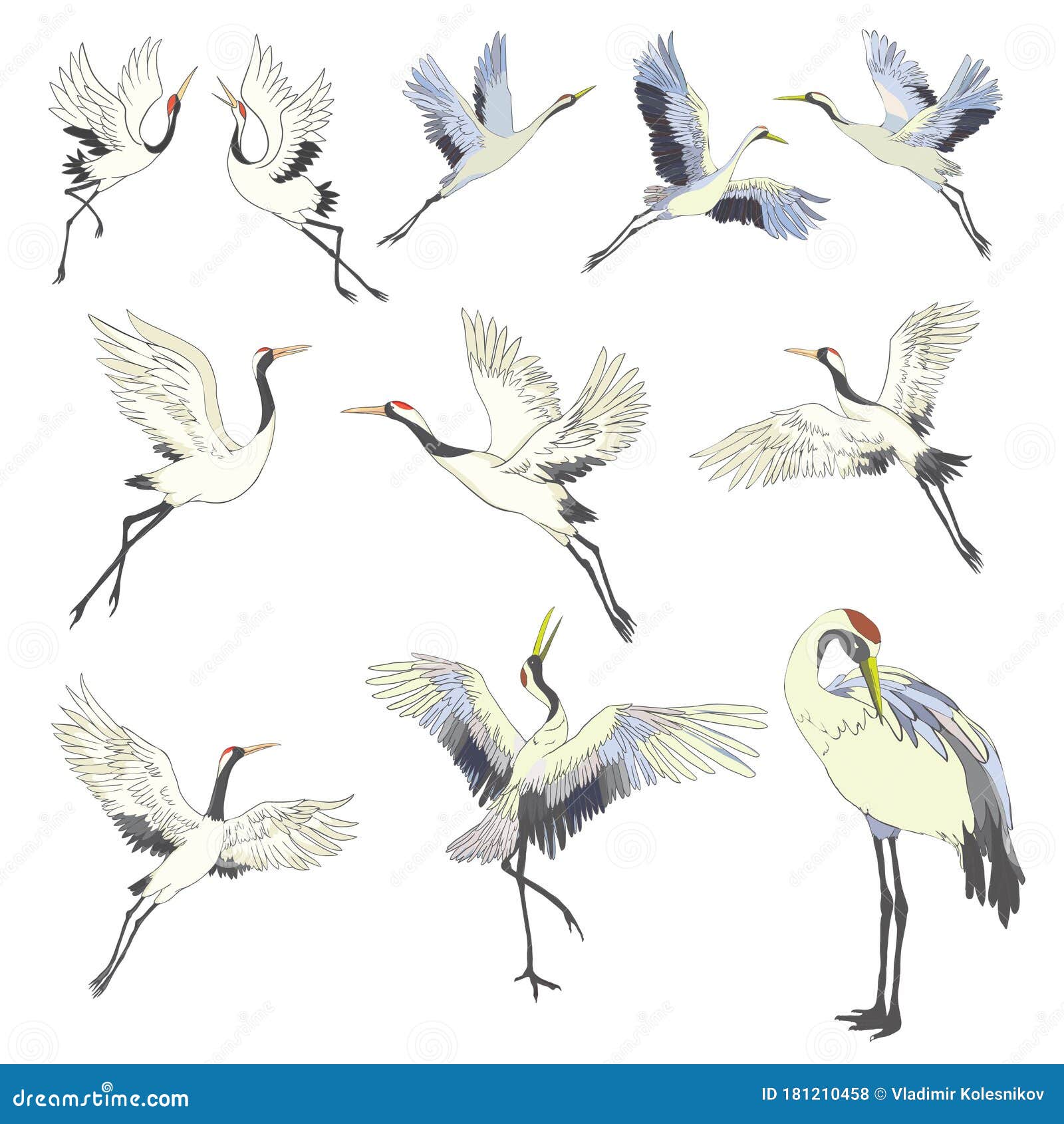 Crane. a Bird in Flight. Design Element. Vector. Stock Vector ...