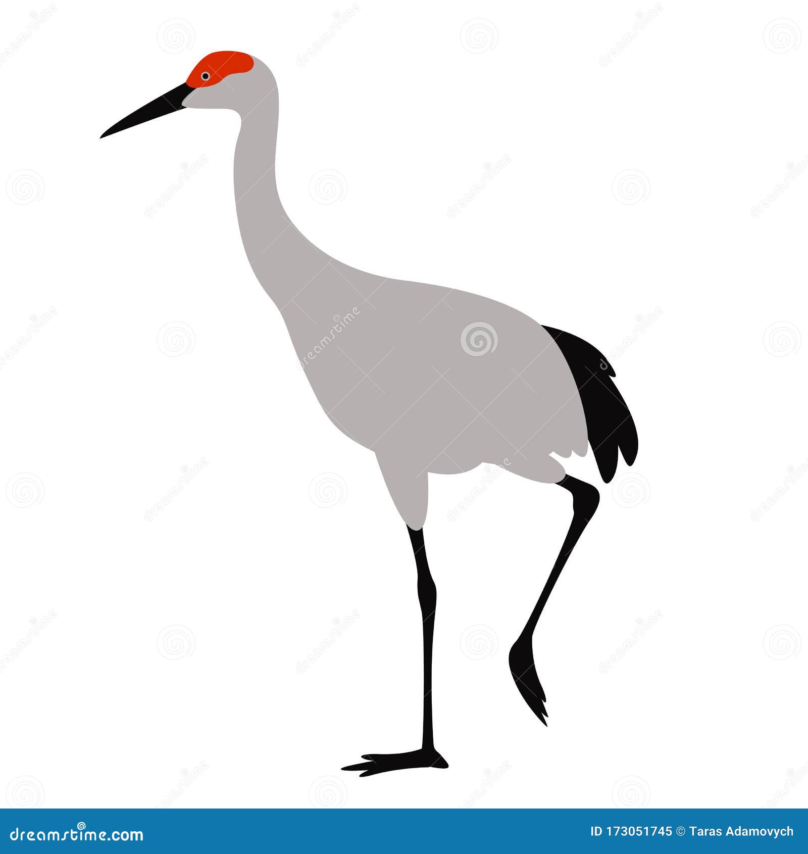 Crane Bird , Vector Illustration, Flat Style, Profile Stock Vector ...