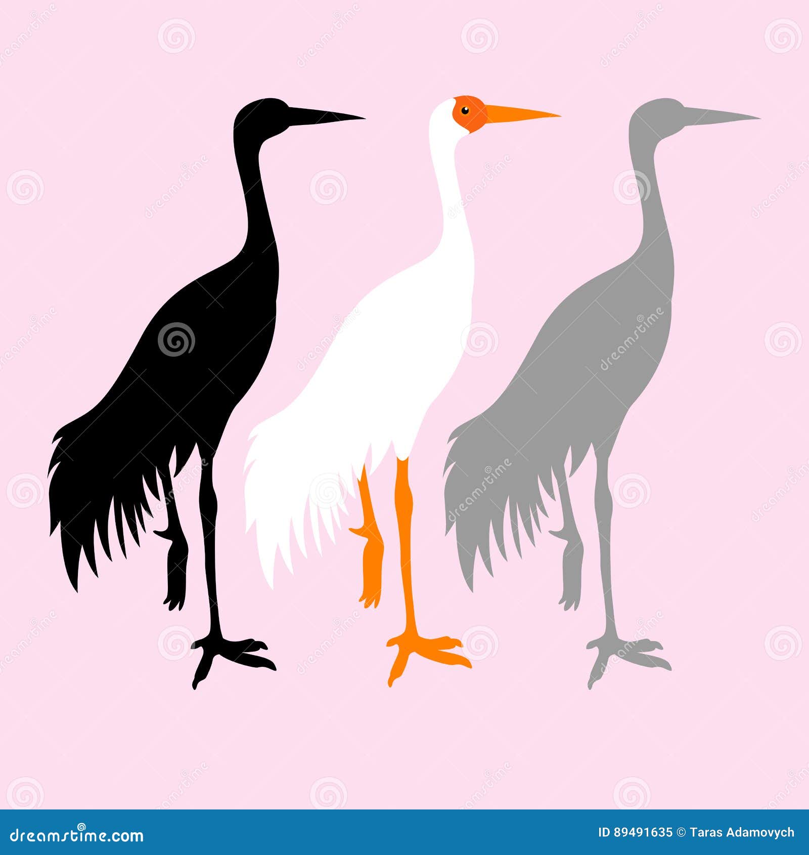 Crane Bird Vector Illustration Style Flat Stock Vector - Illustration ...