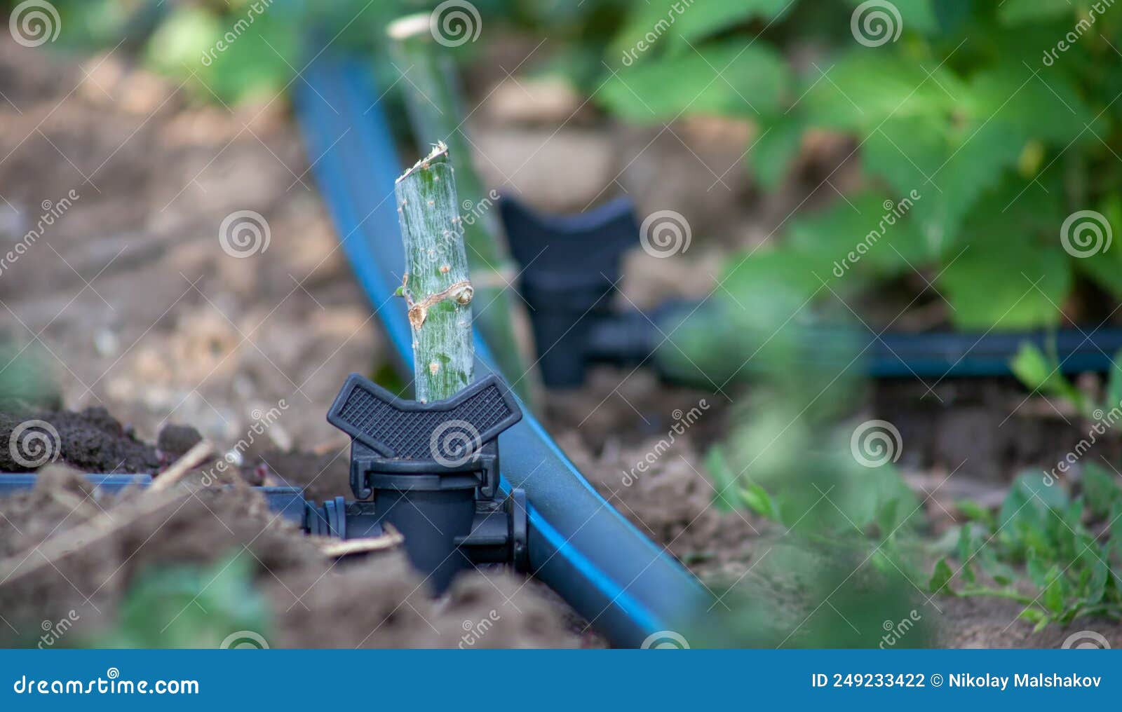 Crane Close-up on a Pipe for Watering. Stock Photo - Image of service ...