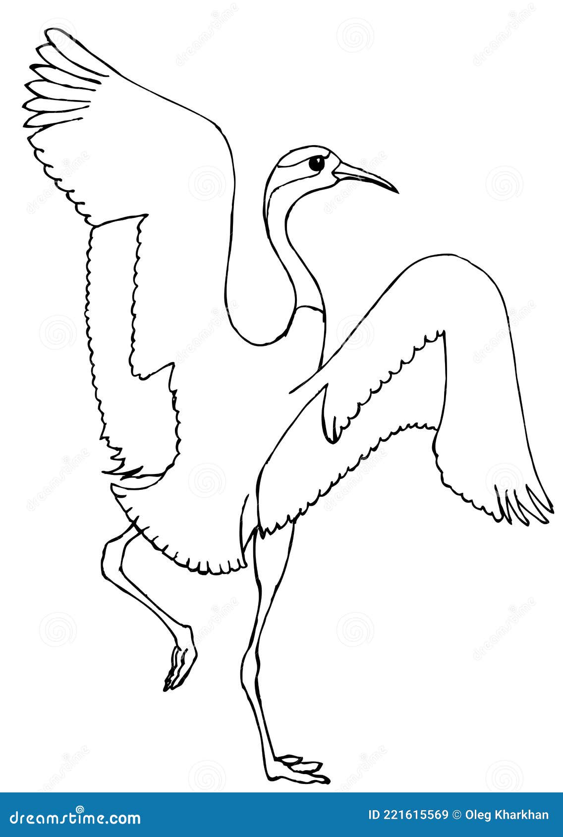The Crane Dances with Its Wings Spread Stock Vector - Illustration of ...