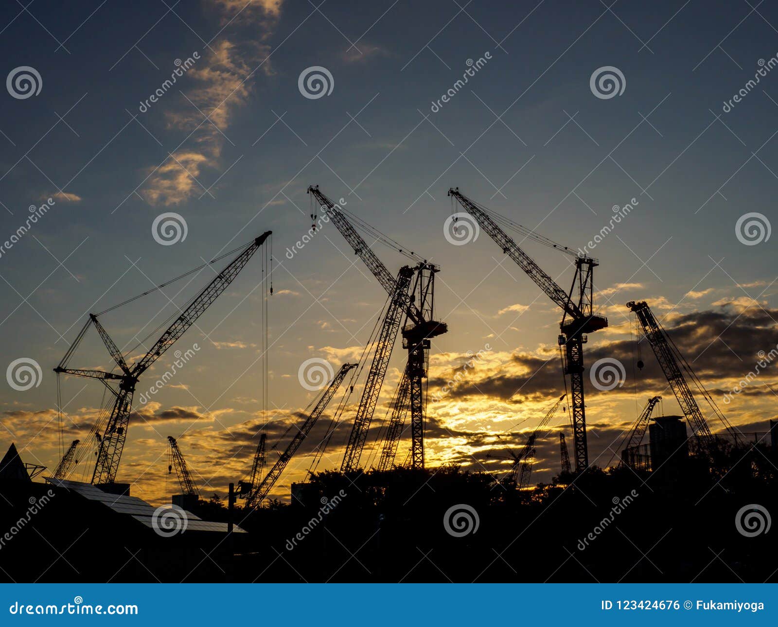 Crane Evening landscape stock photo. Image of japan - 123424676