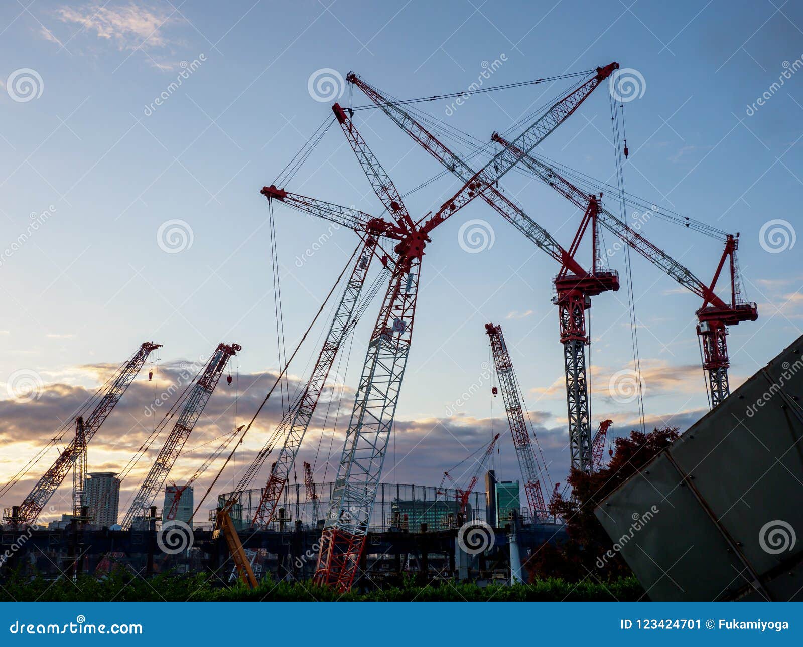 Crane Evening landscape editorial photo. Image of crane - 123424701