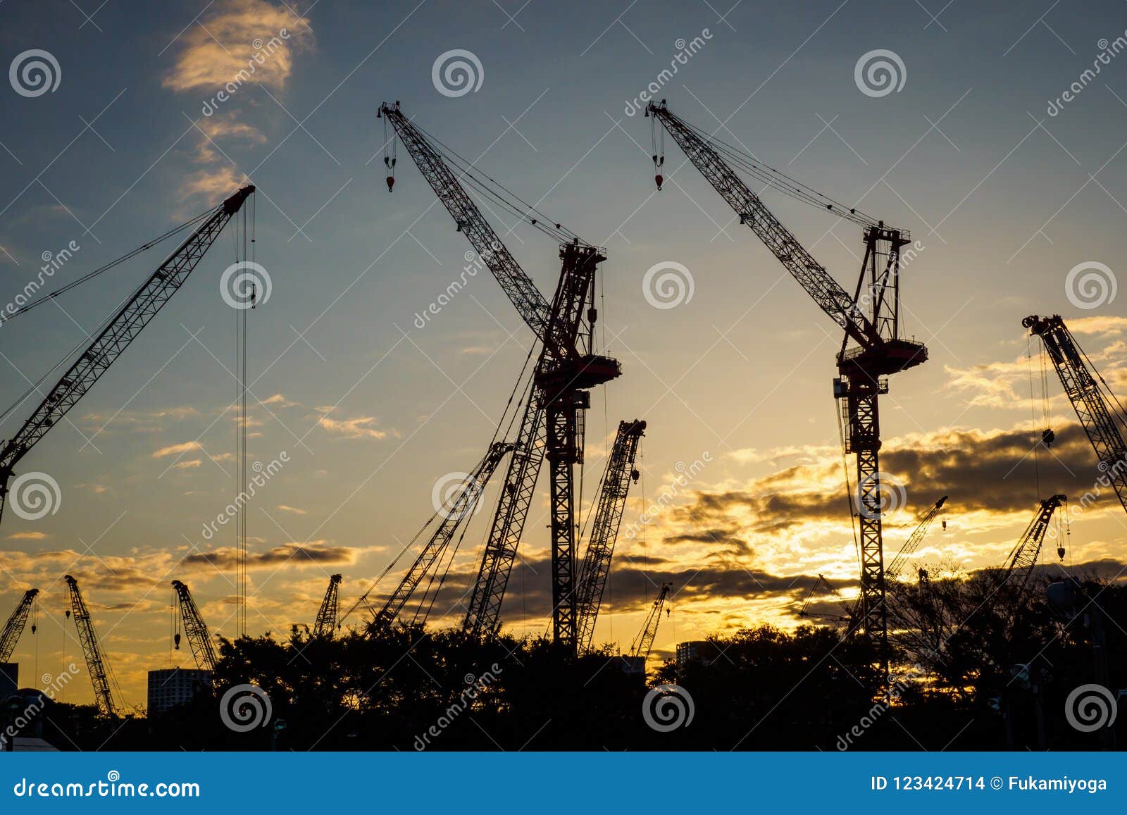 Crane Evening landscape stock photo. Image of landscape - 123424714