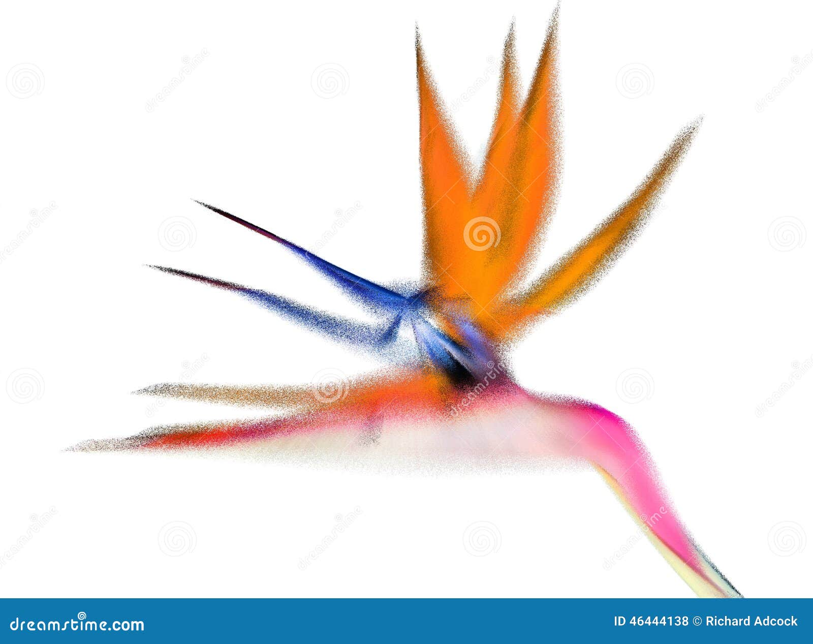 Crane Flower Plant Stock Photography | CartoonDealer.com #101273534