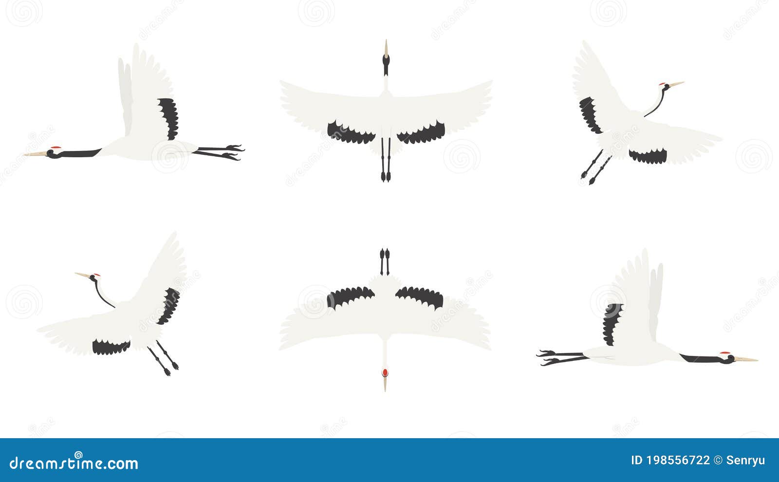 Crane Flying Illustration Set Stock Vector - Illustration of crane ...