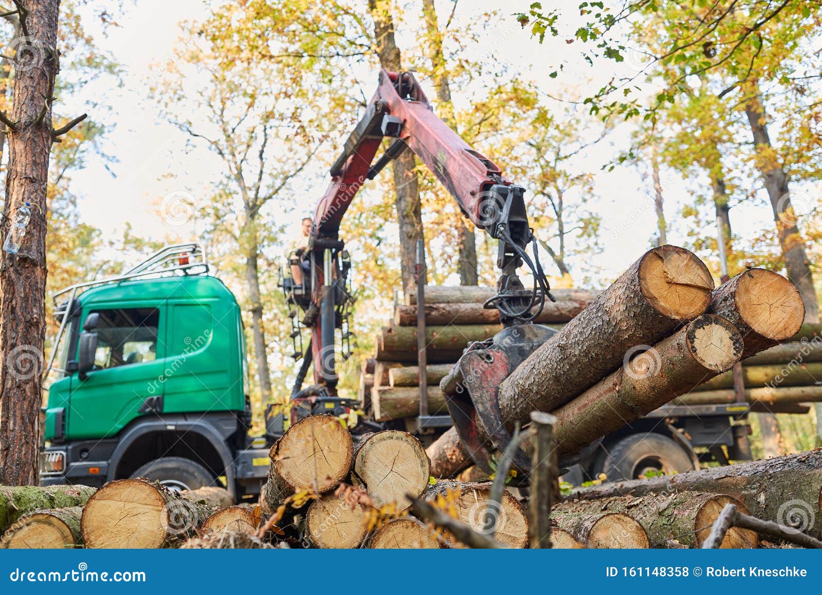 Forwarder Loading Tree Trunks Stock Photo - Image of commodity ...