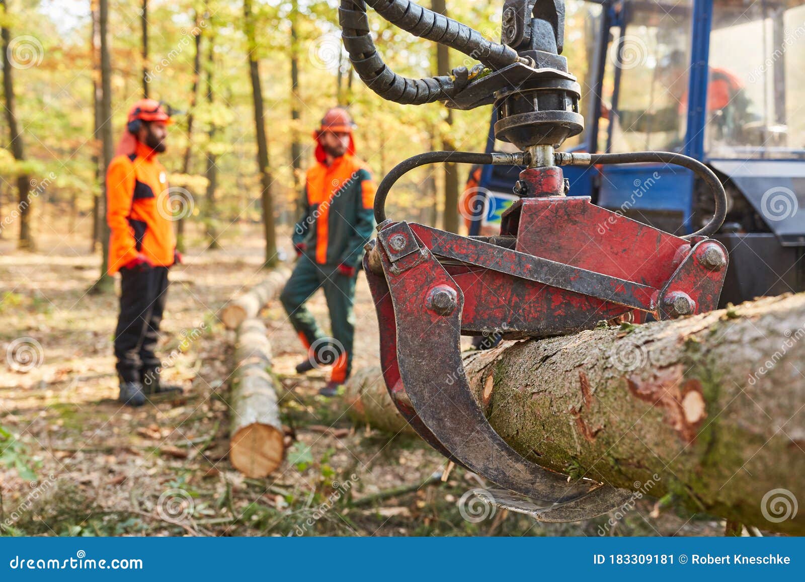 Crane from Forwarder Transports a Tree Trunk Stock Image - Image of ...