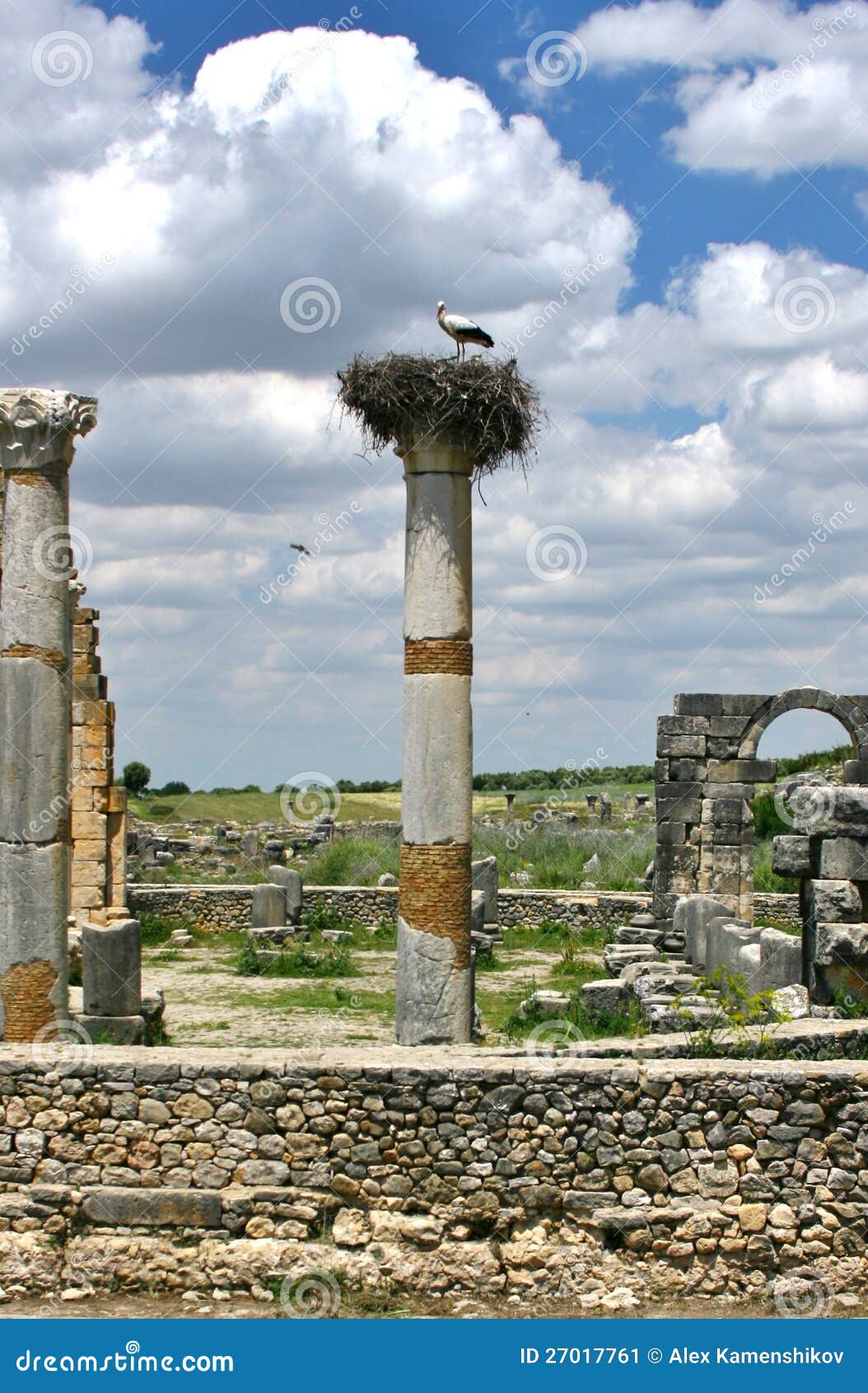 Volubis Stock Photos - Free & Royalty-Free Stock Photos from Dreamstime