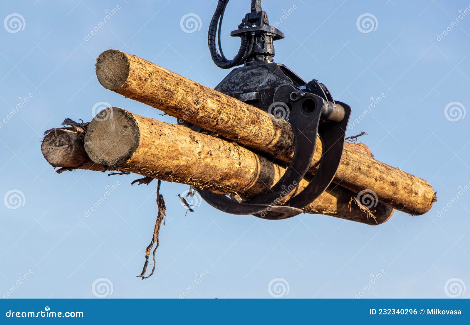 A Crane with Jaws Loads Trunks of Tree Stock Photo - Image of lumber ...