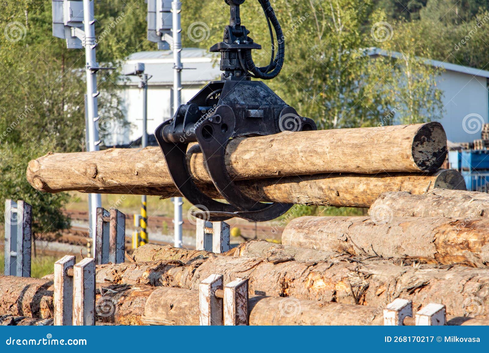 A Crane with Jaws Loads Trunks of Tree into Wagons Stock Image - Image ...