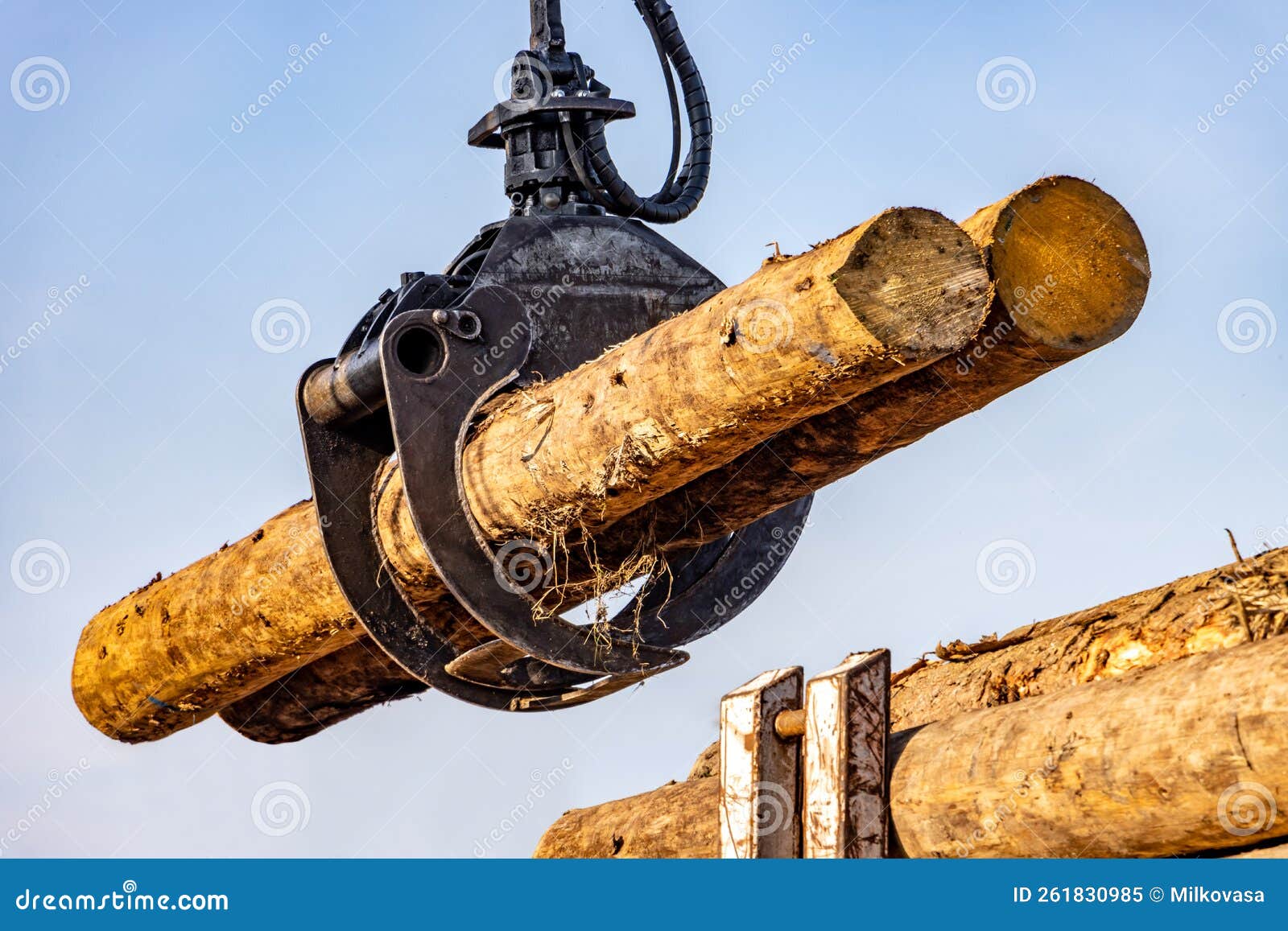 A Crane with Jaws Loads Trunks of Tree Stock Image - Image of large ...
