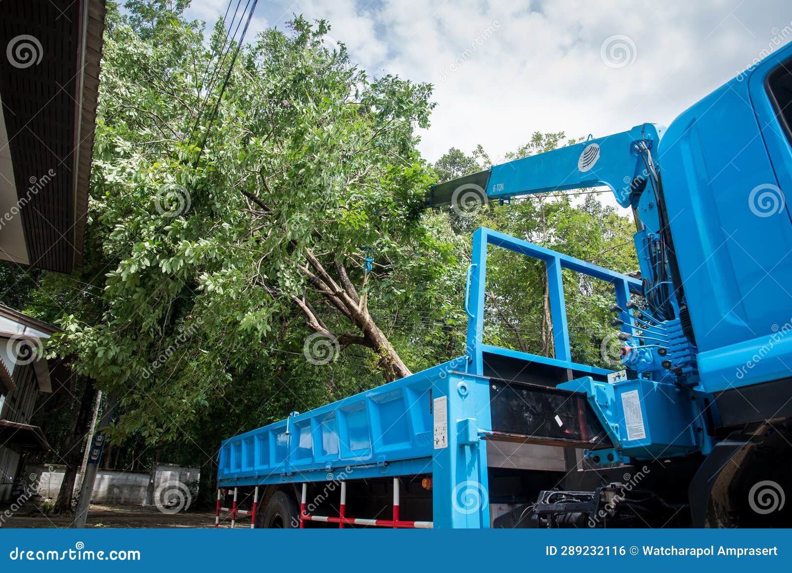Crane lifting Broken tree stock photo. Image of lumber - 289232116