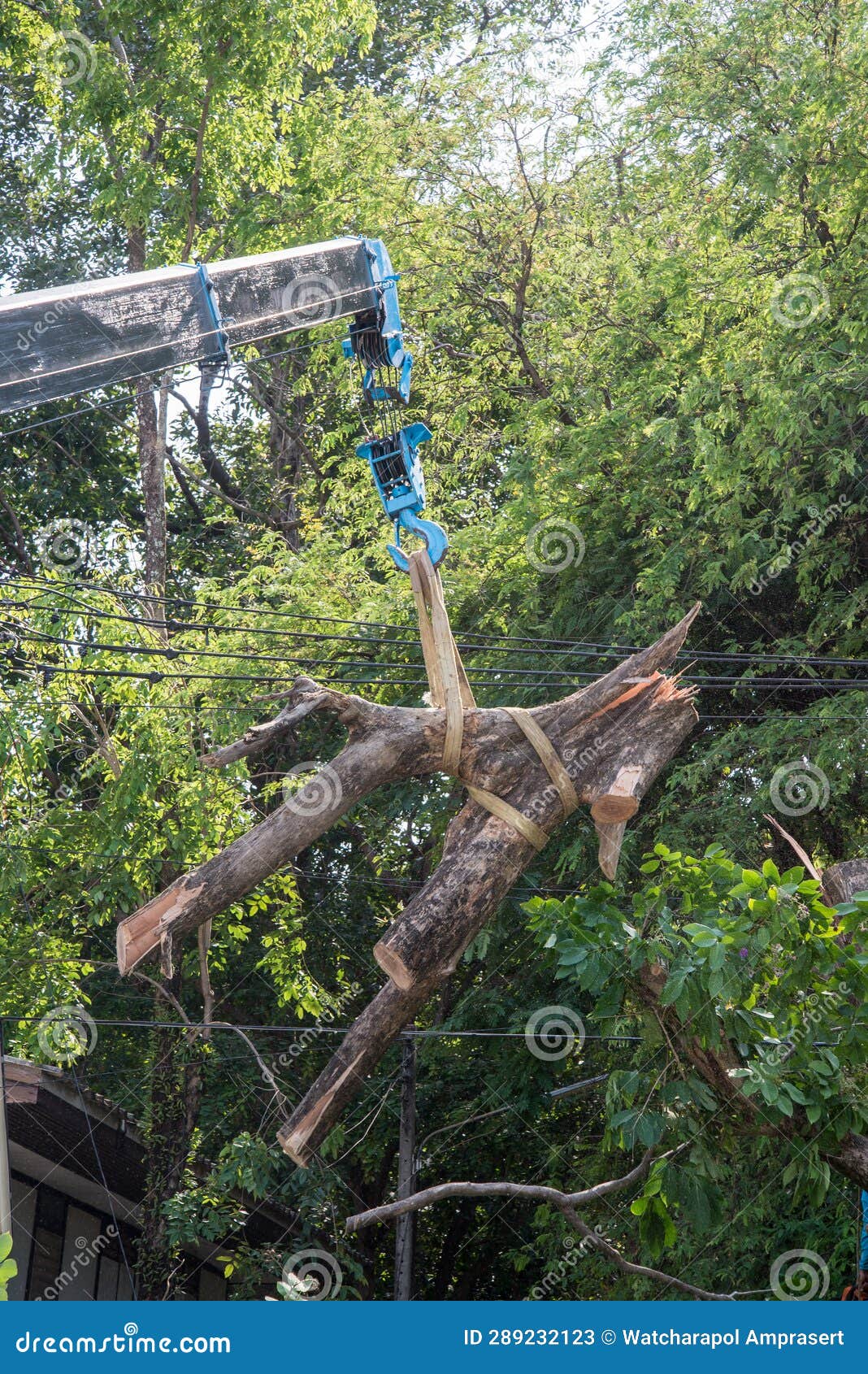 Crane lifting Broken tree stock image. Image of equipment - 289232123