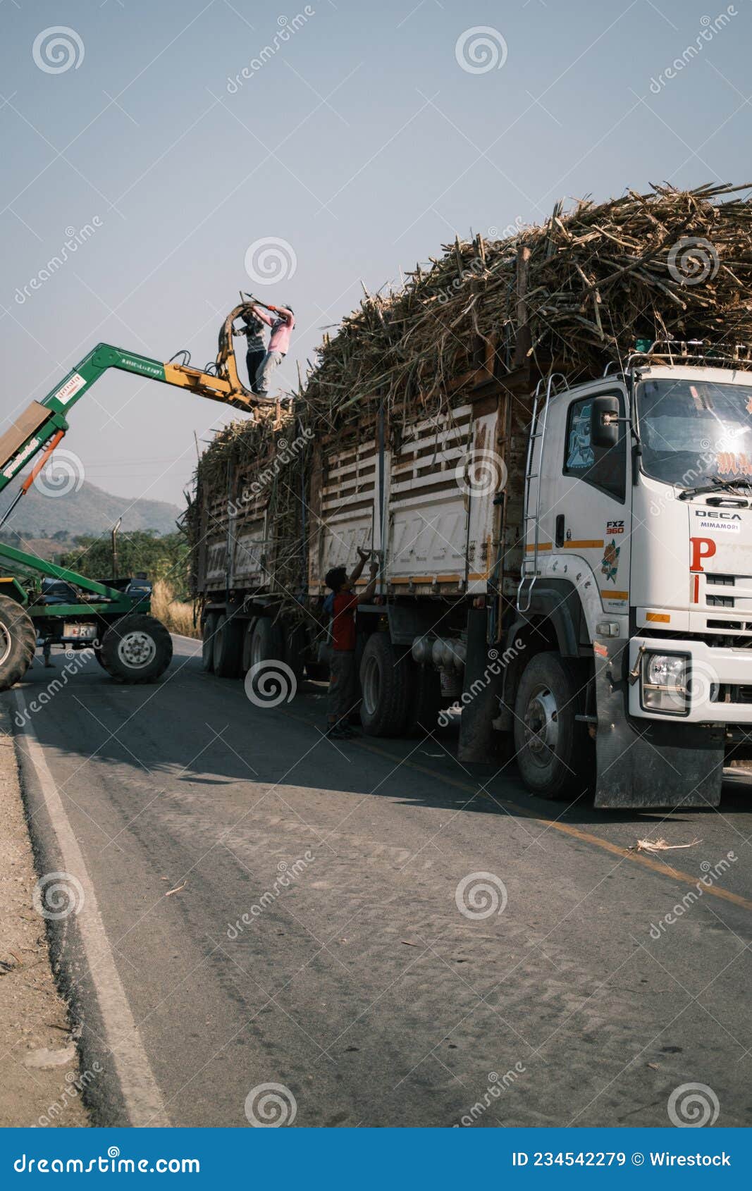 Crane Loading Tree Branches on the Truck. Editorial Stock Image - Image ...