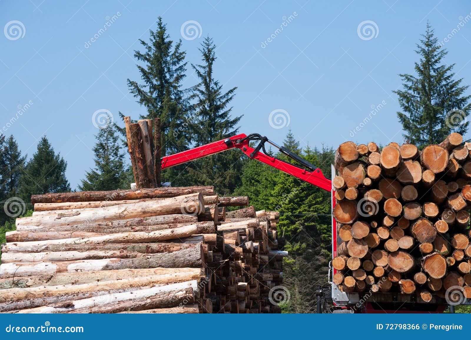 Loading Logs With A Special Loader.Timber Products Warehouse On A ...