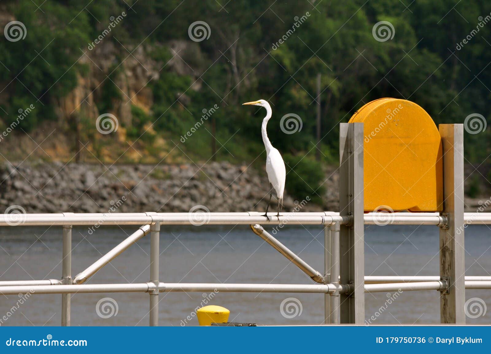 A Crane Pose On A Handrail Stock Photo | CartoonDealer.com #179750736