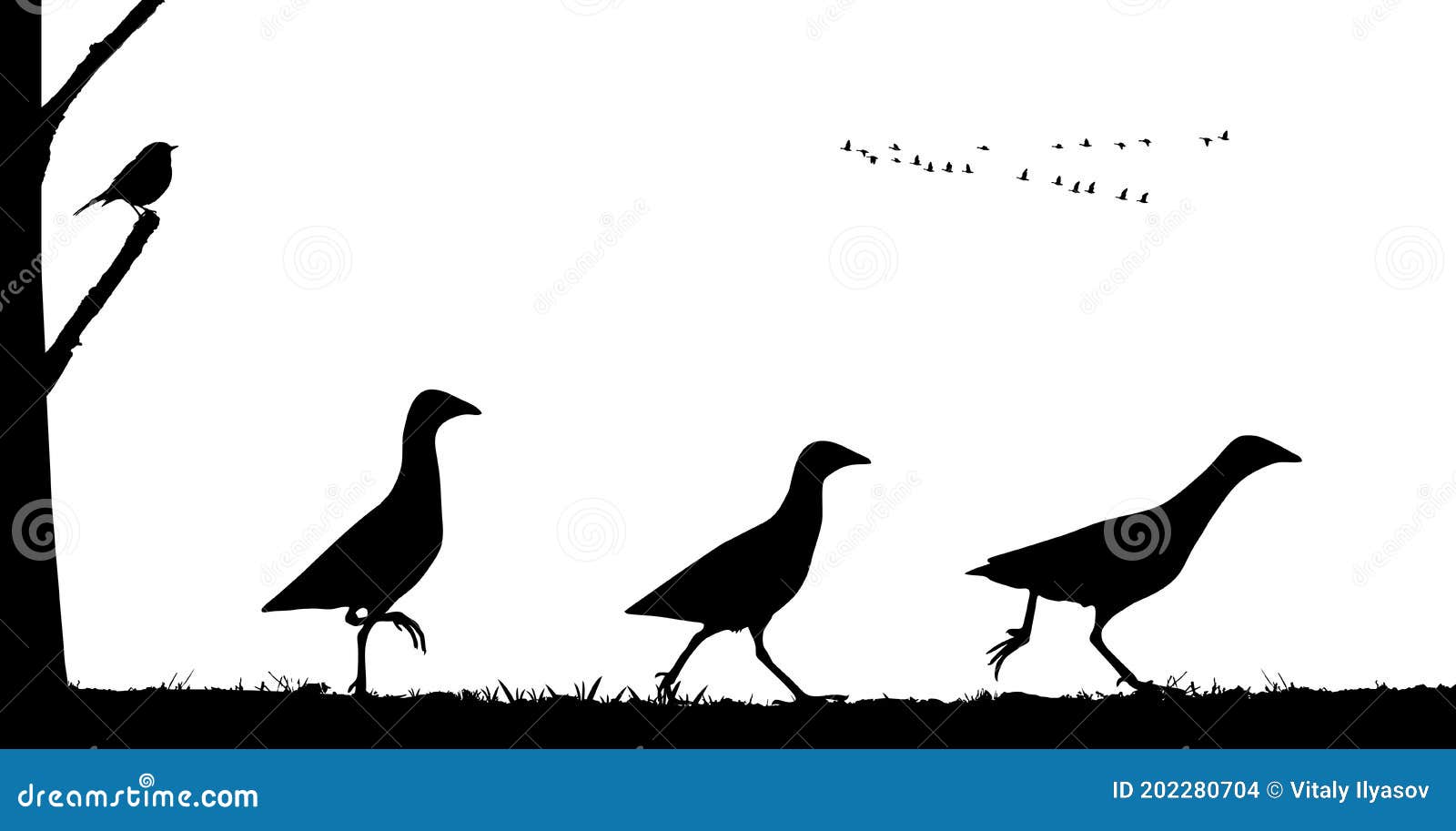 Corn Crake, Vintage Illustration | CartoonDealer.com #163227856