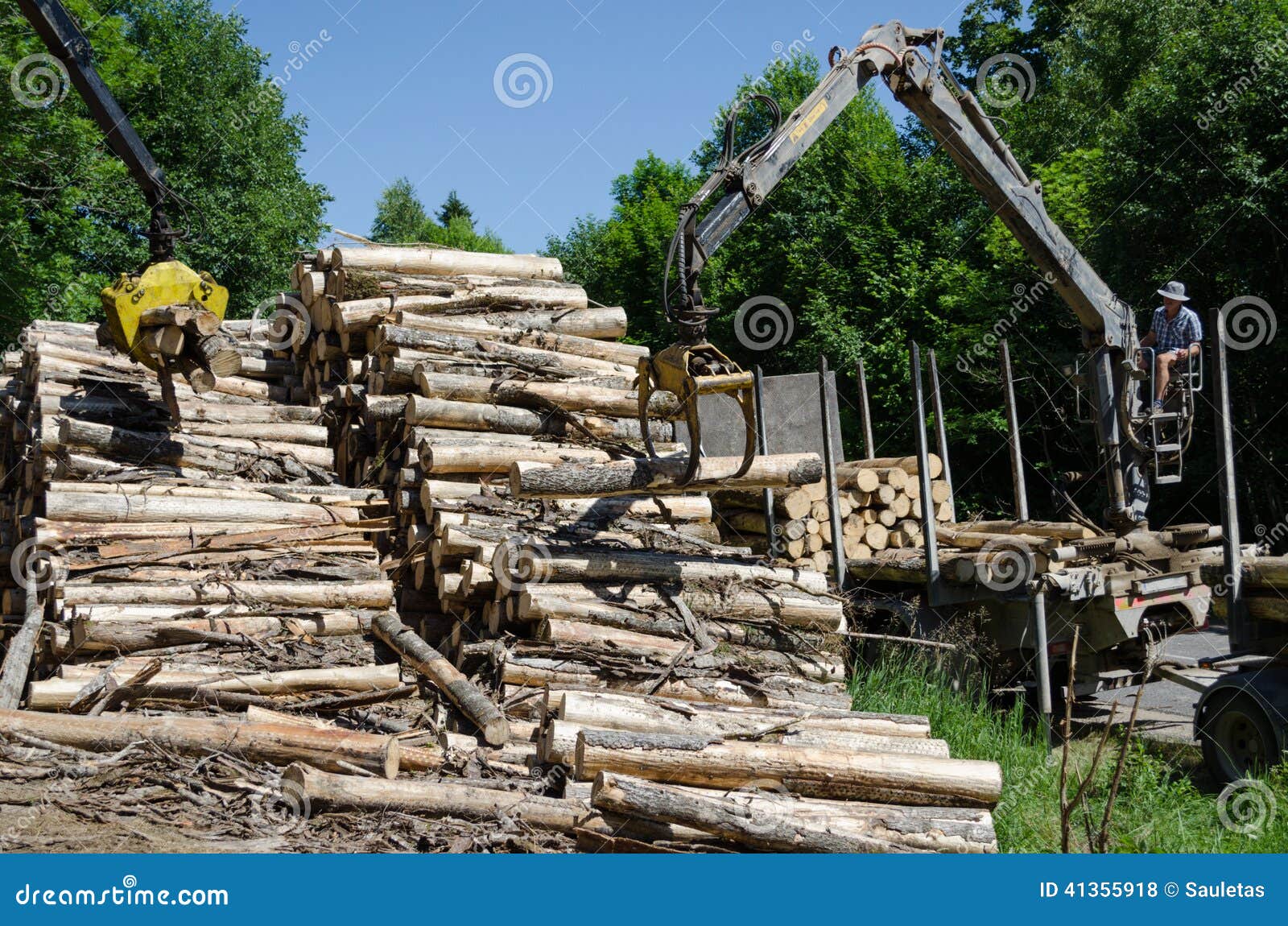Cranes Claw Stack of Timber Logs at Lumber Mill Editorial Stock Photo ...