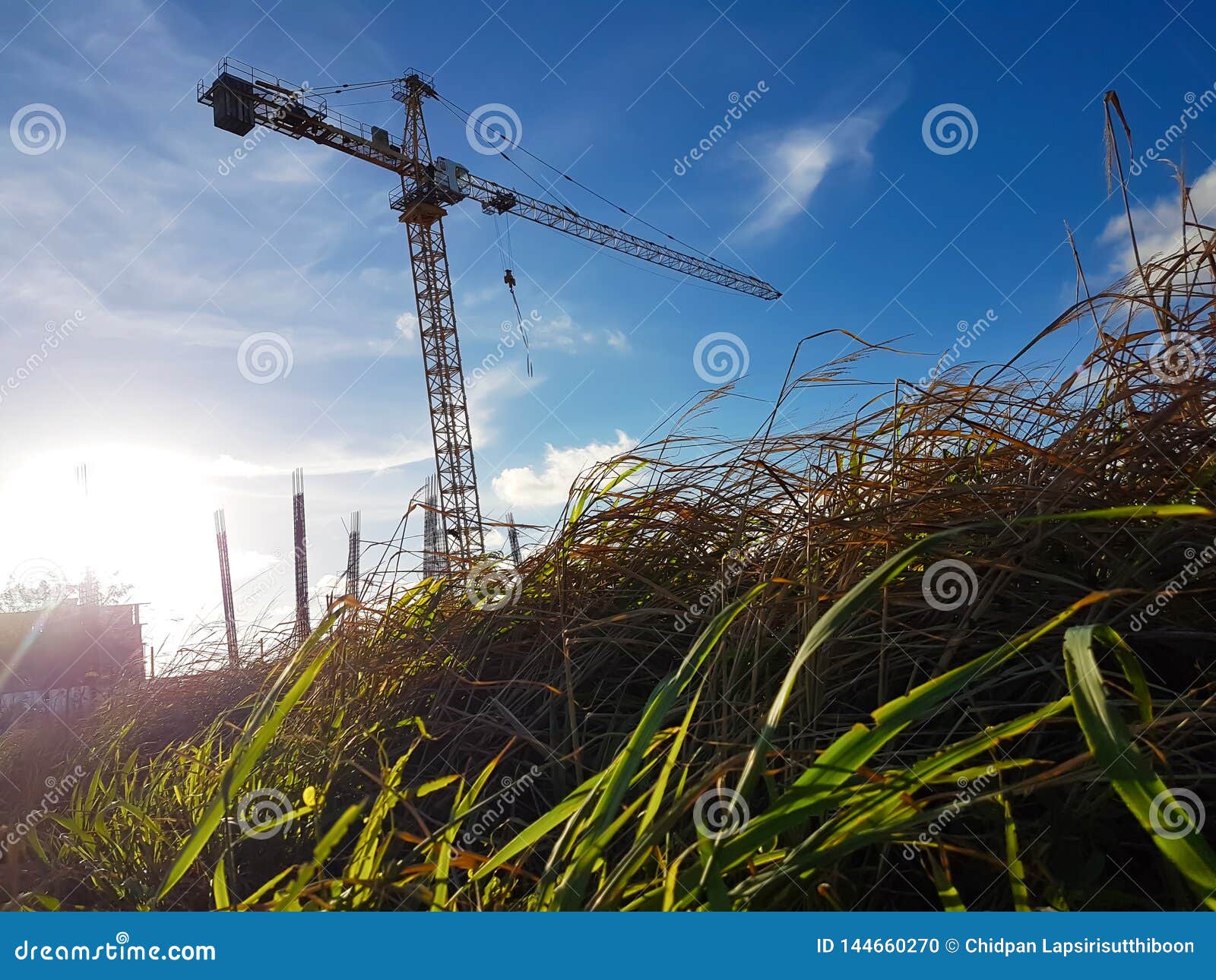 Cranes in the Construction Area that are Working. Stock Photo - Image ...
