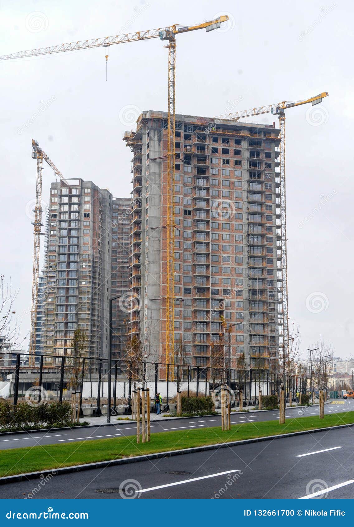 Cranes on Construction Yard Stock Photo - Image of cranes, armature ...