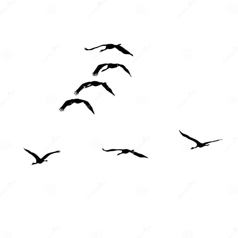 Cranes fly in formation stock vector. Illustration of design - 21899389