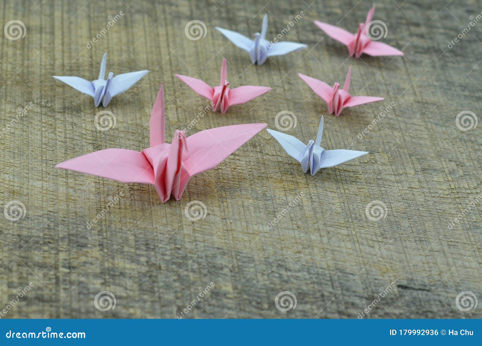 Cranes Fold from Paper, Vividly Stock Photo - Image of isolated, animal ...