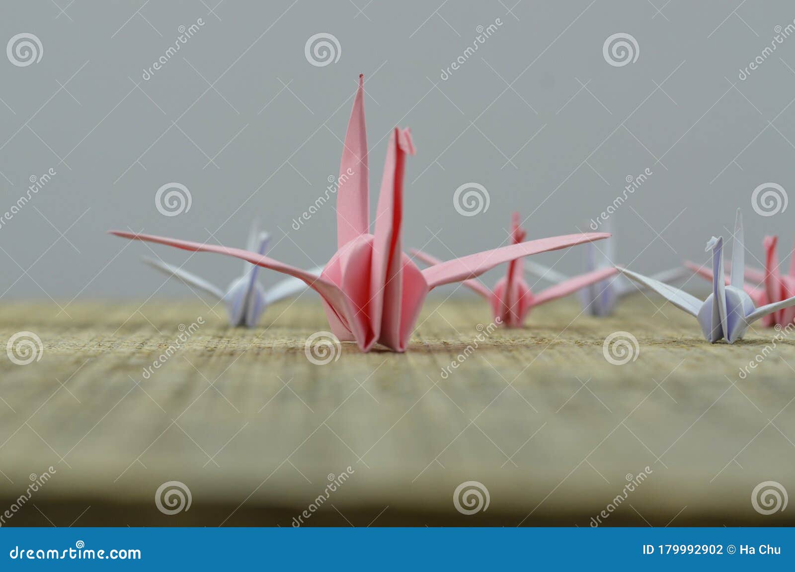 Cranes Fold from Paper, Vividly Stock Photo - Image of bird, crane ...